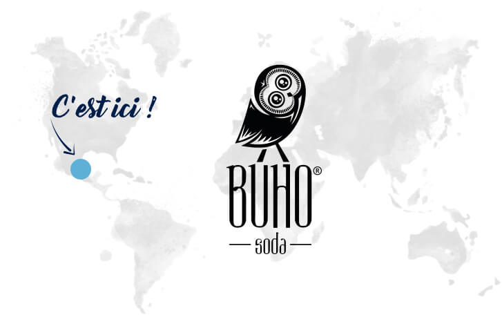 buho sodas mexicains - SDV Les Marchés du Monde
